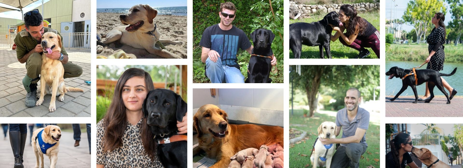 Donate Now | Canadian Friends of the Israel Guide Dog Center