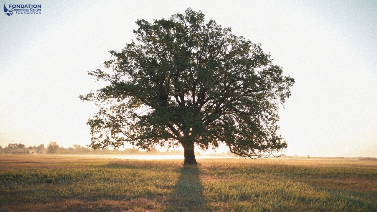 George and Mackie Balcan Fund for Feeding the Soul | Cummings Centre ...