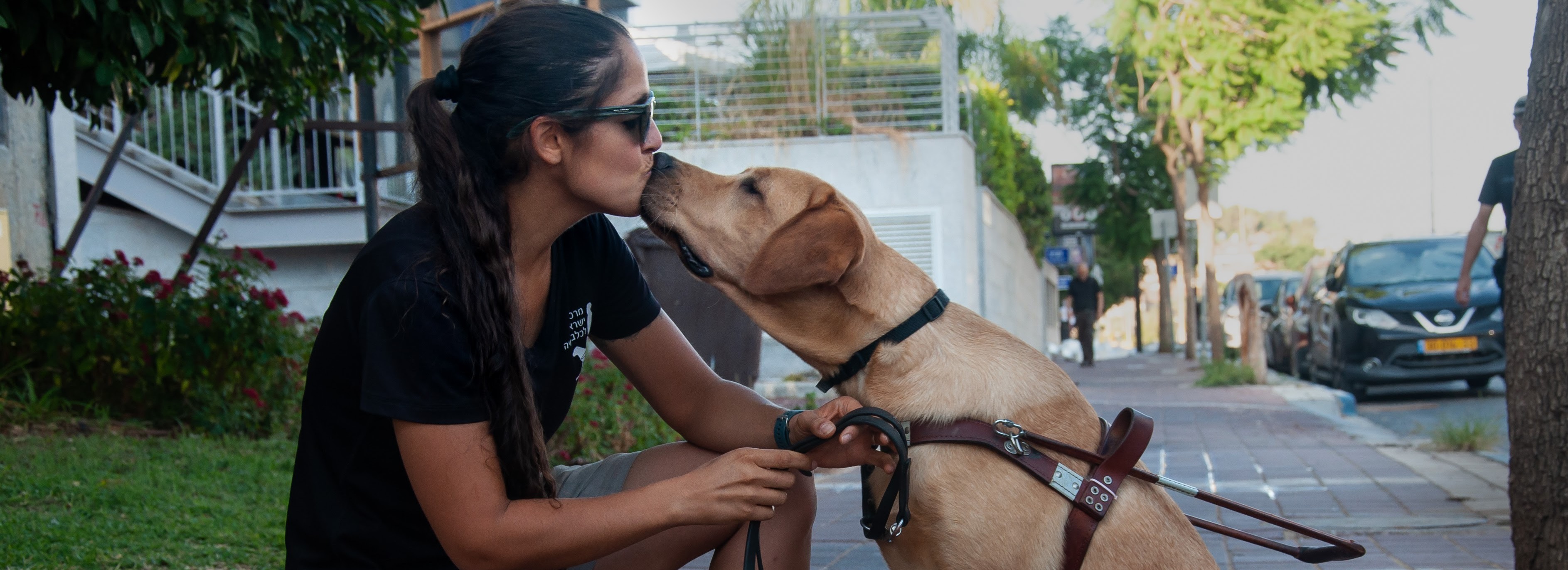 Donate Now | Canadian Friends of the Israel Guide Dog Center