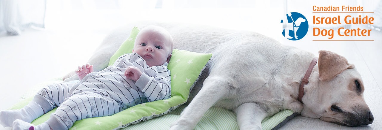 eCard Store | Canadian Friends of the Israel Guide Dog Center