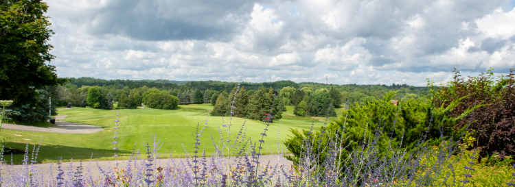 2025 Swing For Hope Golf Tournament | Meagan Bebenek Foundation