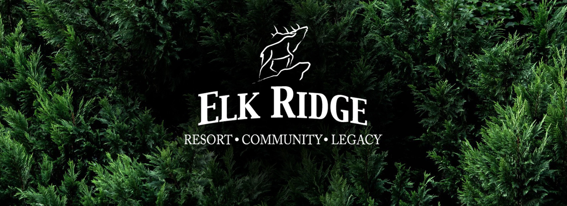 2023 Golf Tournament at Elk Ridge Resort | Crohn’s and Colitis Canada