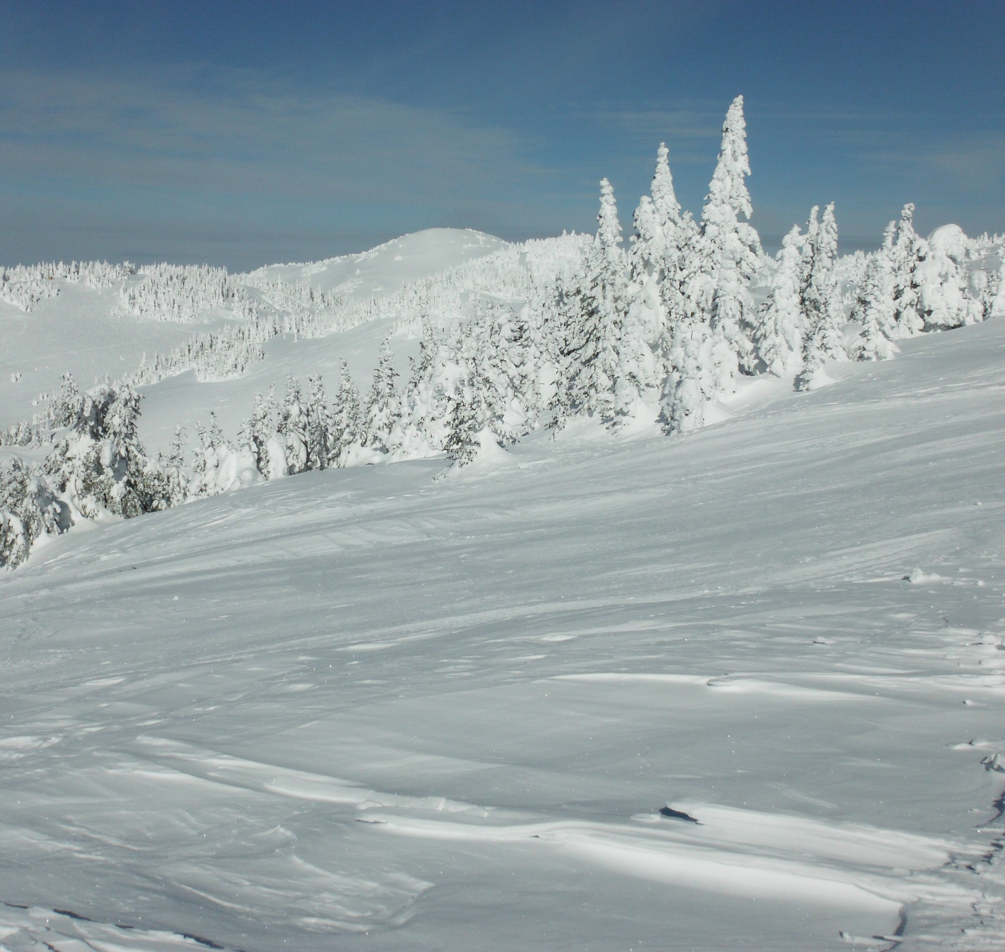 Philip Dudgeon - Virtual Canvass | Heart & Stroke Foundation