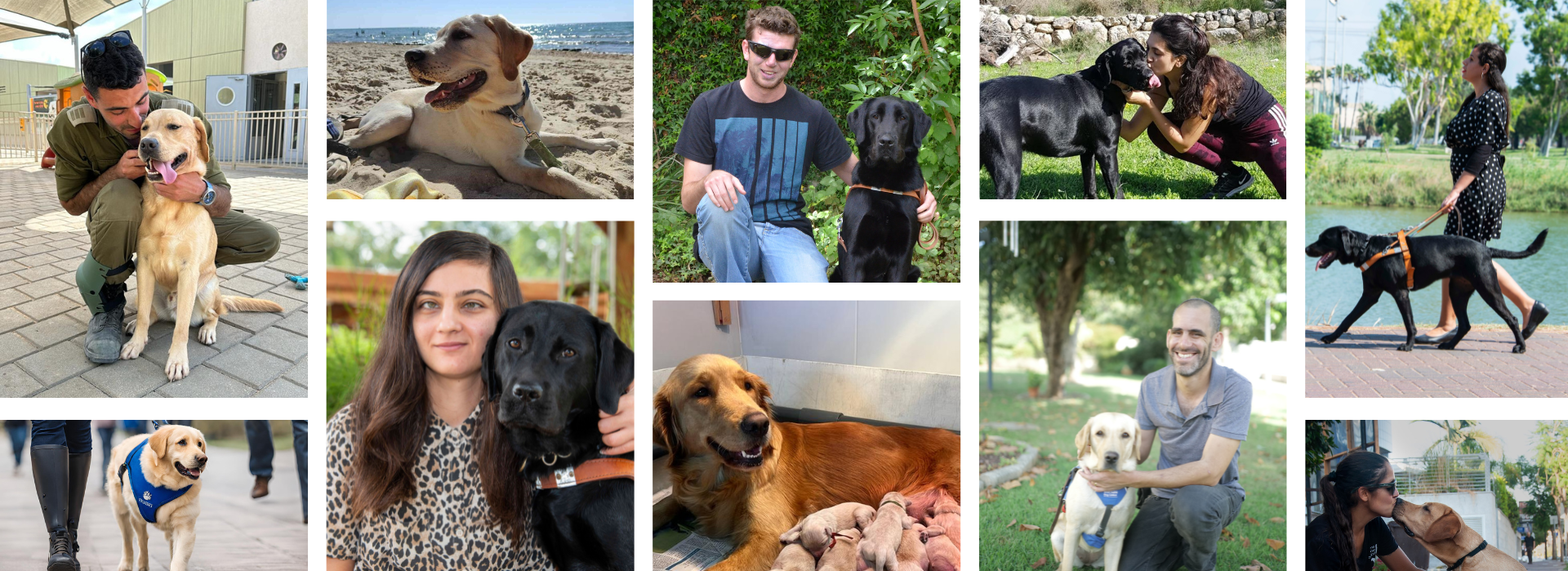 Donate Now | Canadian Friends of the Israel Guide Dog Center