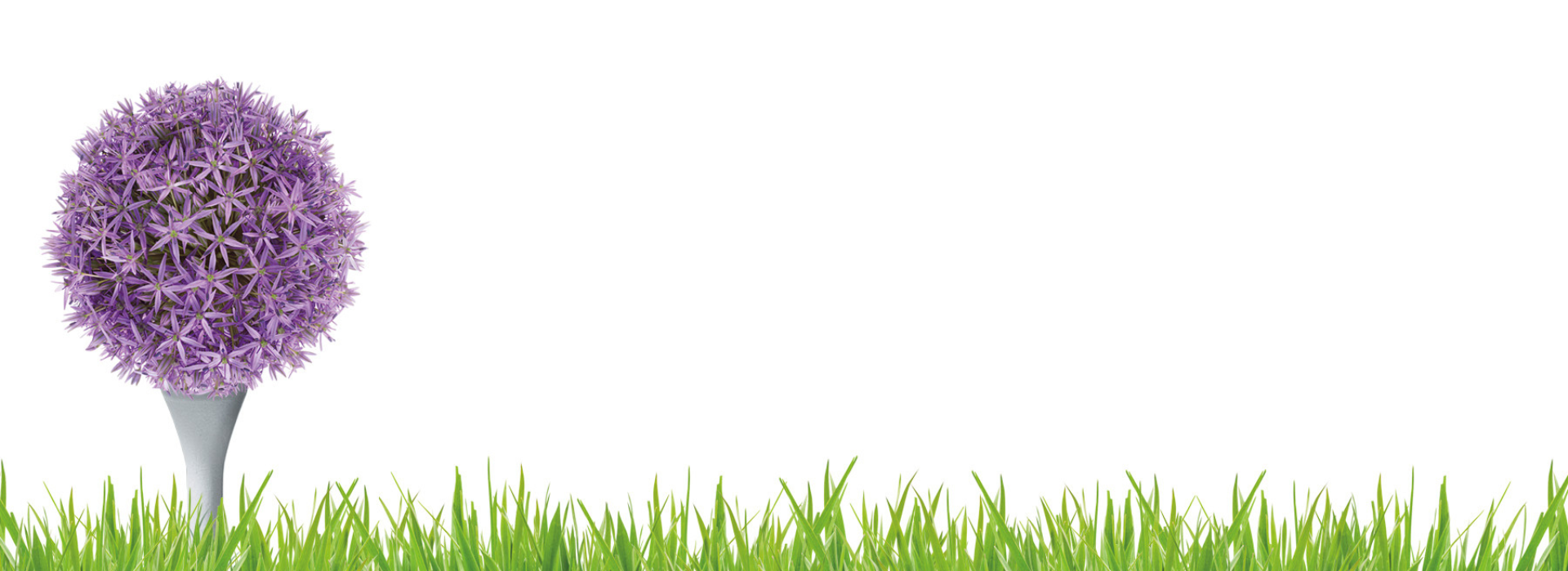 Omnium TELUS 2024 | TELUS Friendly Future Foundation